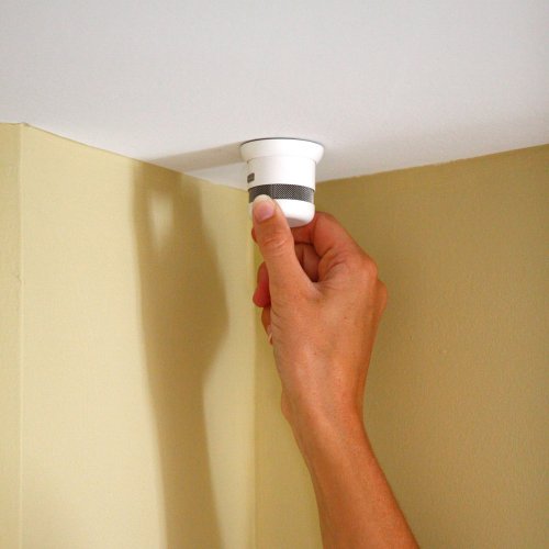 First Alert Atom Photoelectric Smoke & Fire Alarm P1000 - Weston, WV ...